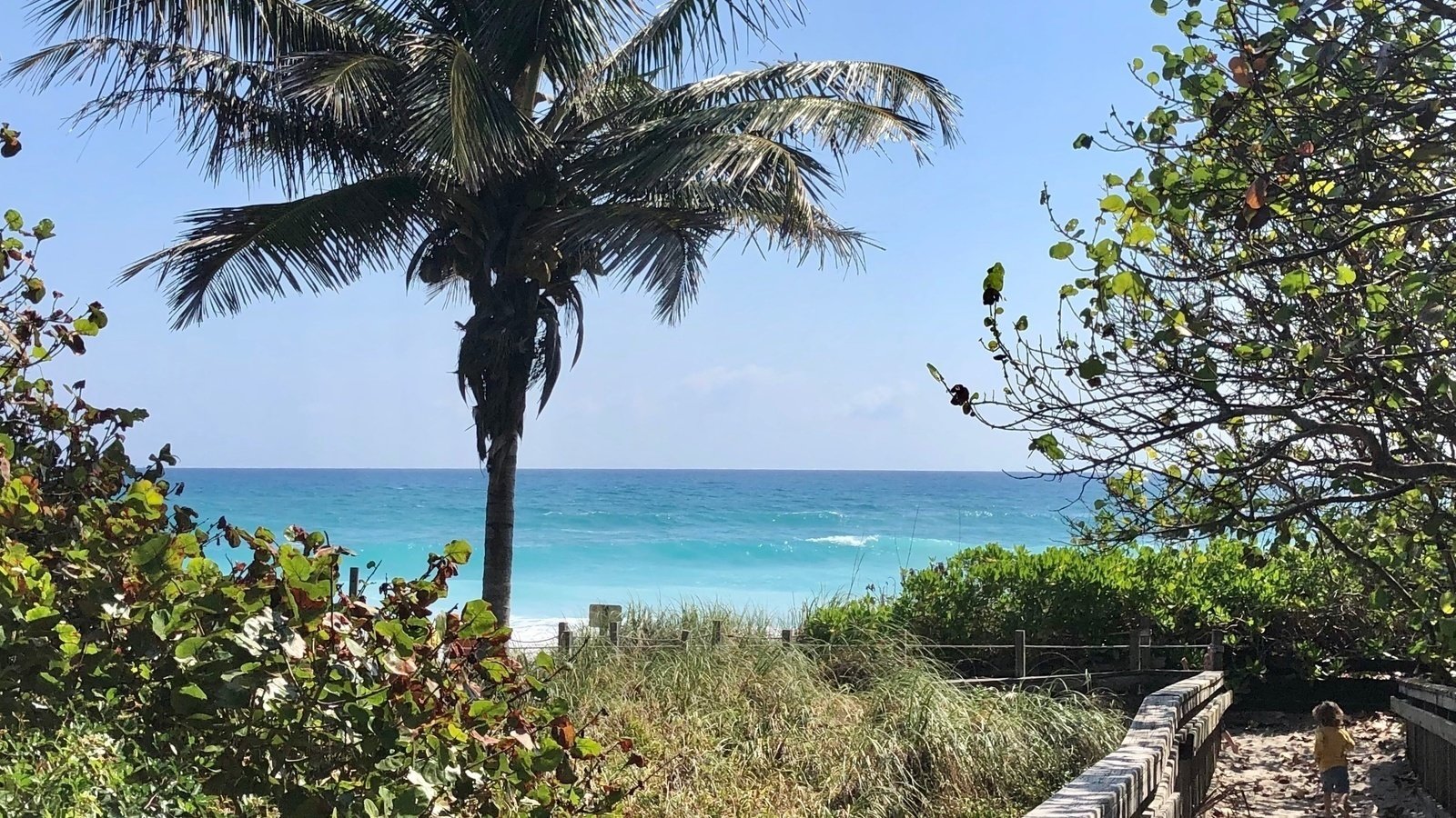 Petition · Reopen Florida Beaches and Parks - United States · Change.org