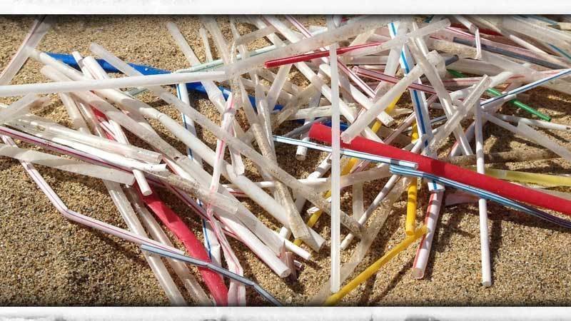 Petition · Opt-in Straw Policy at Cracker Barrel Nationwide - United ...