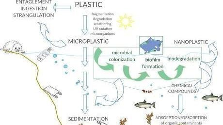 Petition · Rather than dumping plastic into land fills use ...