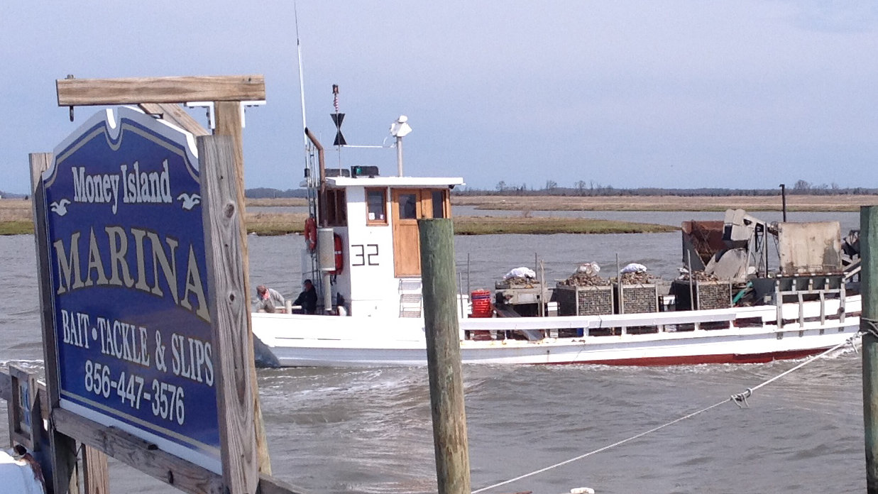 Petition · Aquaculture development approval at Money Island NJ - United ...