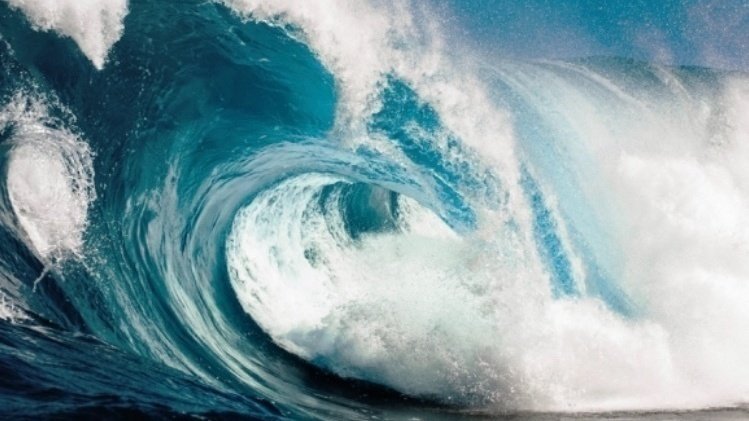 Petition · Create a WAVE GANG role on Essare’s discord server for OG ...