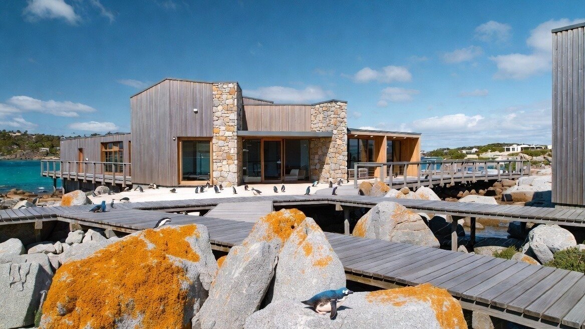 Petition · Save the Granite Island Little Penguins from Extinction ...