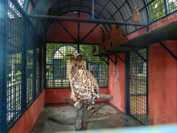 Petition · Shutdown The Malaysian Animal Prison Perlis Bird Park ...