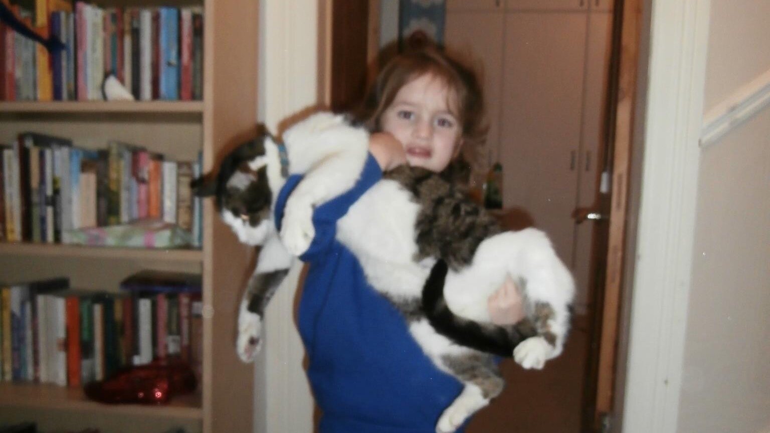 Petition · Invite Eve Chapman To Belvedere Prom 2024 - United Kingdom ...