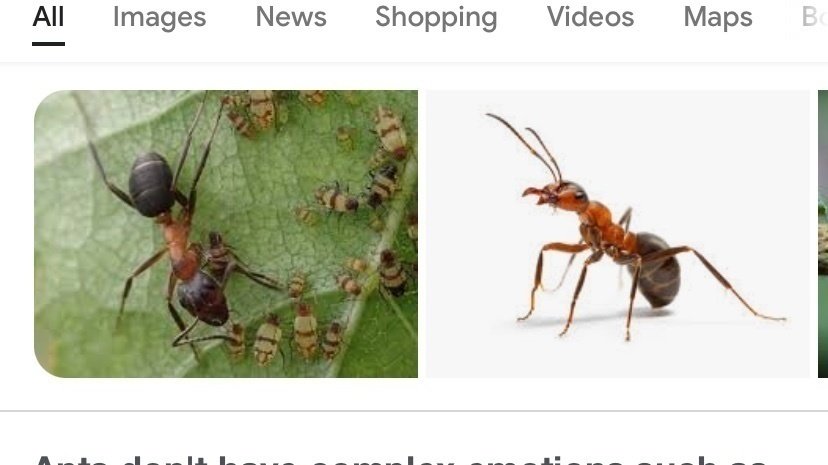 Petition · SAVING ANTS - United States · Change.org