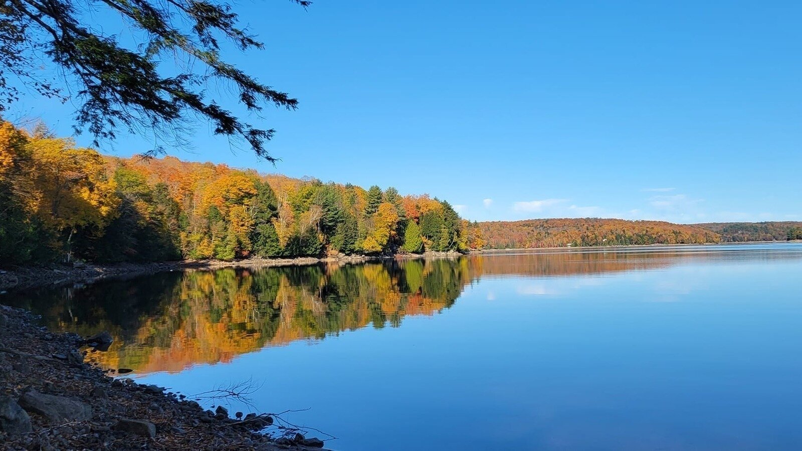 Petition · Halt the Rezoning on Halls Lake to Protect our Algonquin ...
