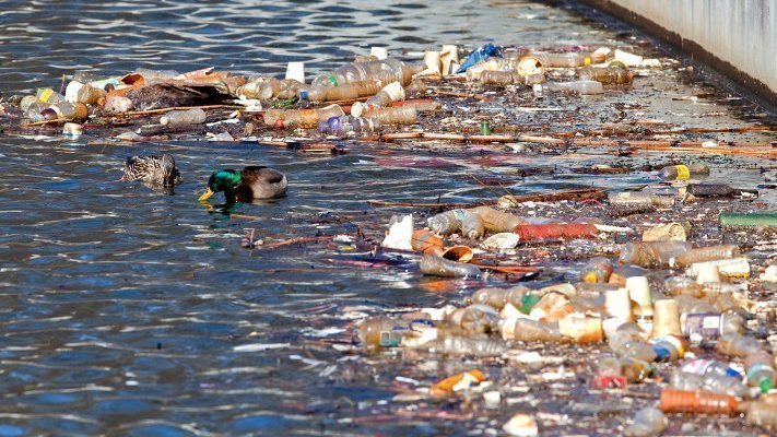 Petition · Ban Single Use Trash in Ontario - Canada · Change.org