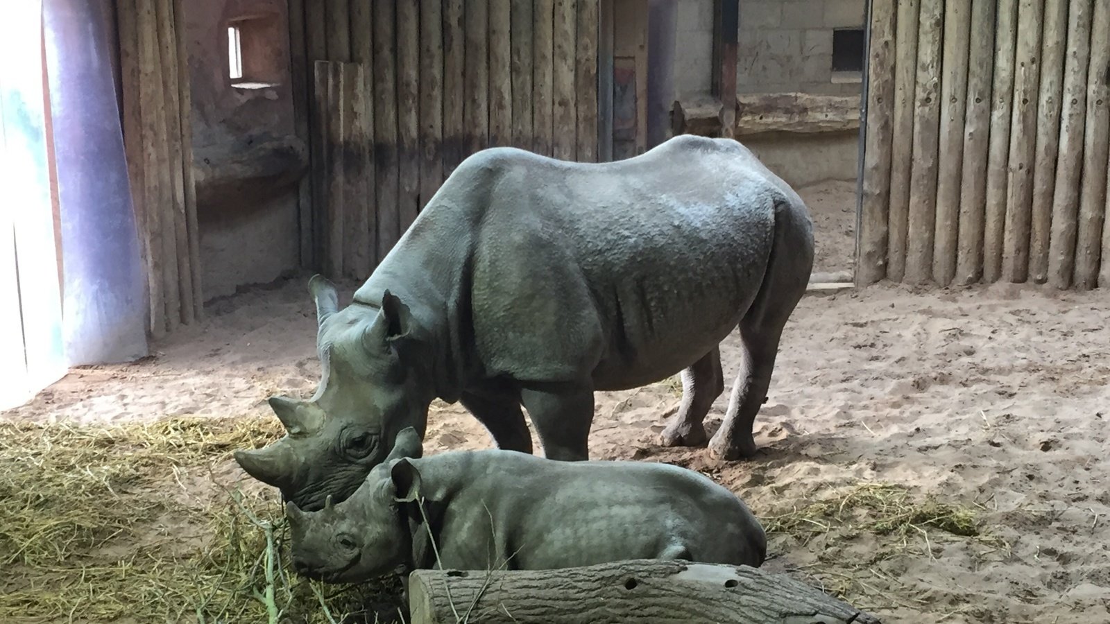 Petition · Ban smoking in all U.K. zoos and animal attractions - United ...