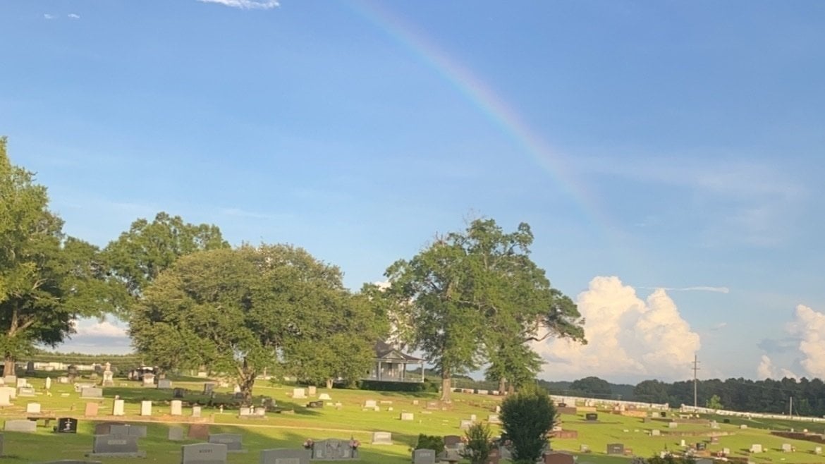 Petition · Install surveillance cameras at Arlington Cemetery in Homer ... Petition · Install surveillance cameras at Arlington Cemetery in Homer ...