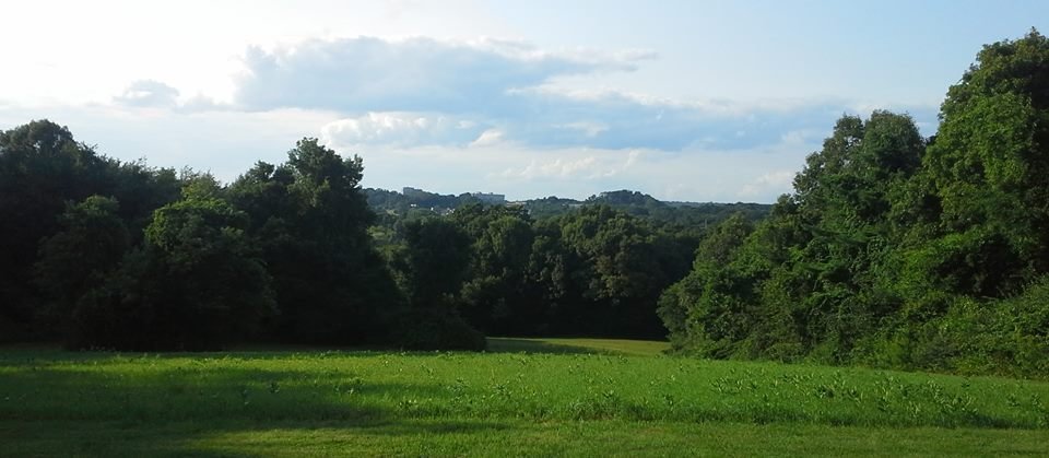 Petition · Save Whipple Hill - United States · Change.org