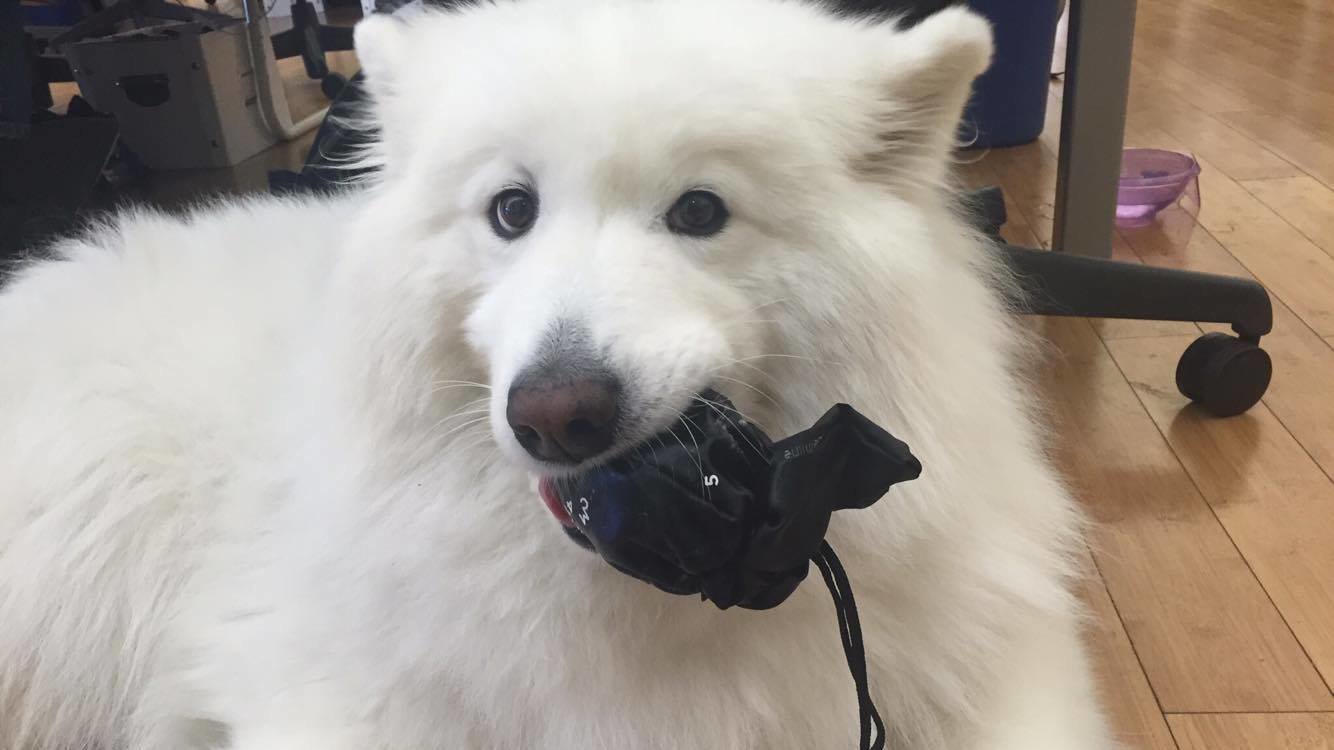 Petition · sadfasd sadf asdf asdf sdfas fas dfasd fsdfasdf asdf asdf ...