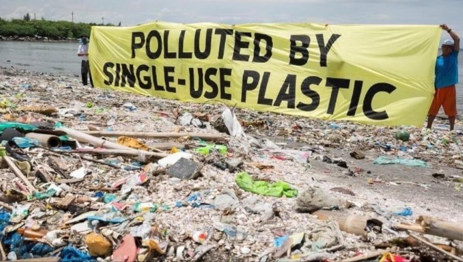 Petition · Limit the Usage of Single-Use Plastic in Virginia to Protect ...