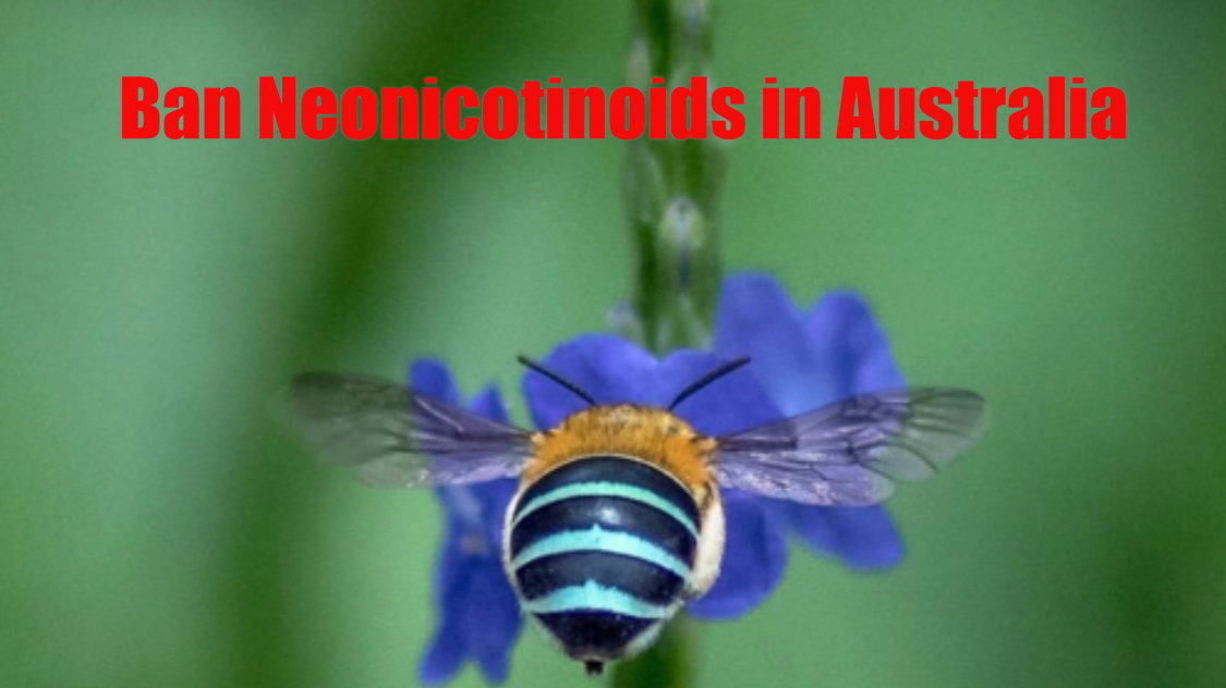 Petition update · Ban neonicotinoids in Australia · Change.org · Change.org