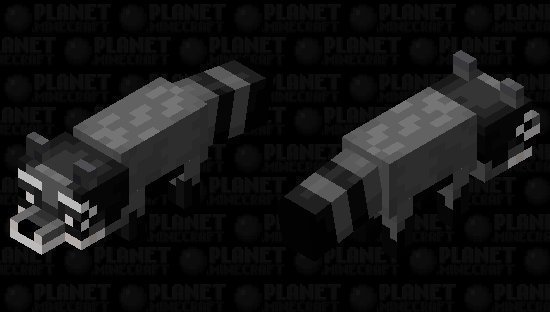 Petition · add raccoons to minecraft - United States · Change.org