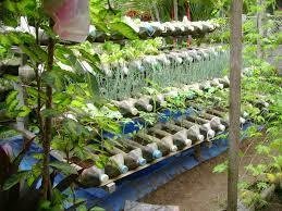 Petition · BOTE QUEEN RECYCLE - Philippines · Change.org