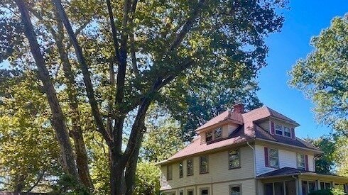 Petition · Don't let a developer kill a beautiful Maplewood tree ...
