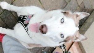 Petition · Save D . U . O. Shelter from Closure and Prevent Homelessness in Oshawa - Oshawa ...