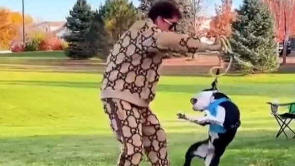 Petition · Ask TikTok to permanently BAN "Dog Daddy"! - United States ...