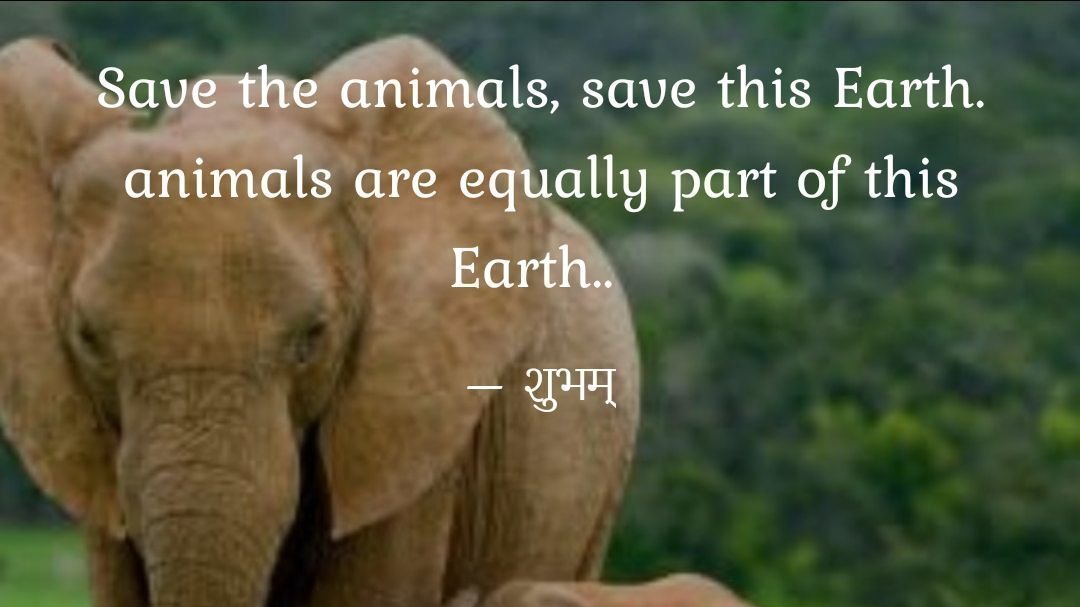 Petition · We need to save the animals.. - India · Change.org