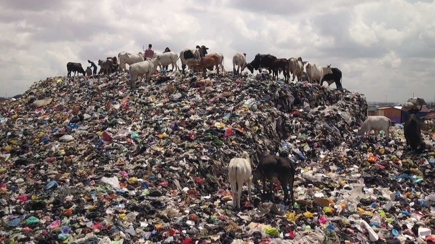 Petition · Clothing Waste · Change.org