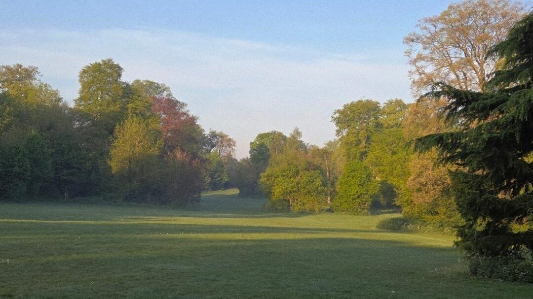 Petition · Oppose proposed destruction of the peaceful Down Grange Park ...