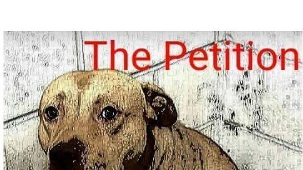 Petition · Make All Shelters in USA to be "NO KILL SHELTERS" - United ...