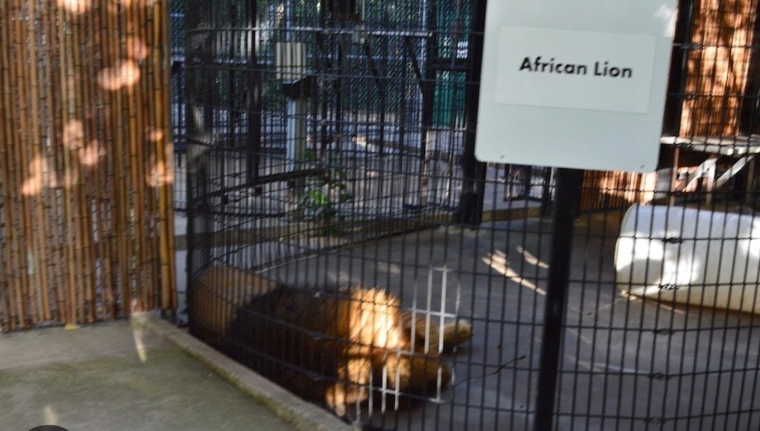 Petition · Ban lagoons cruel zoo - United States · Change.org