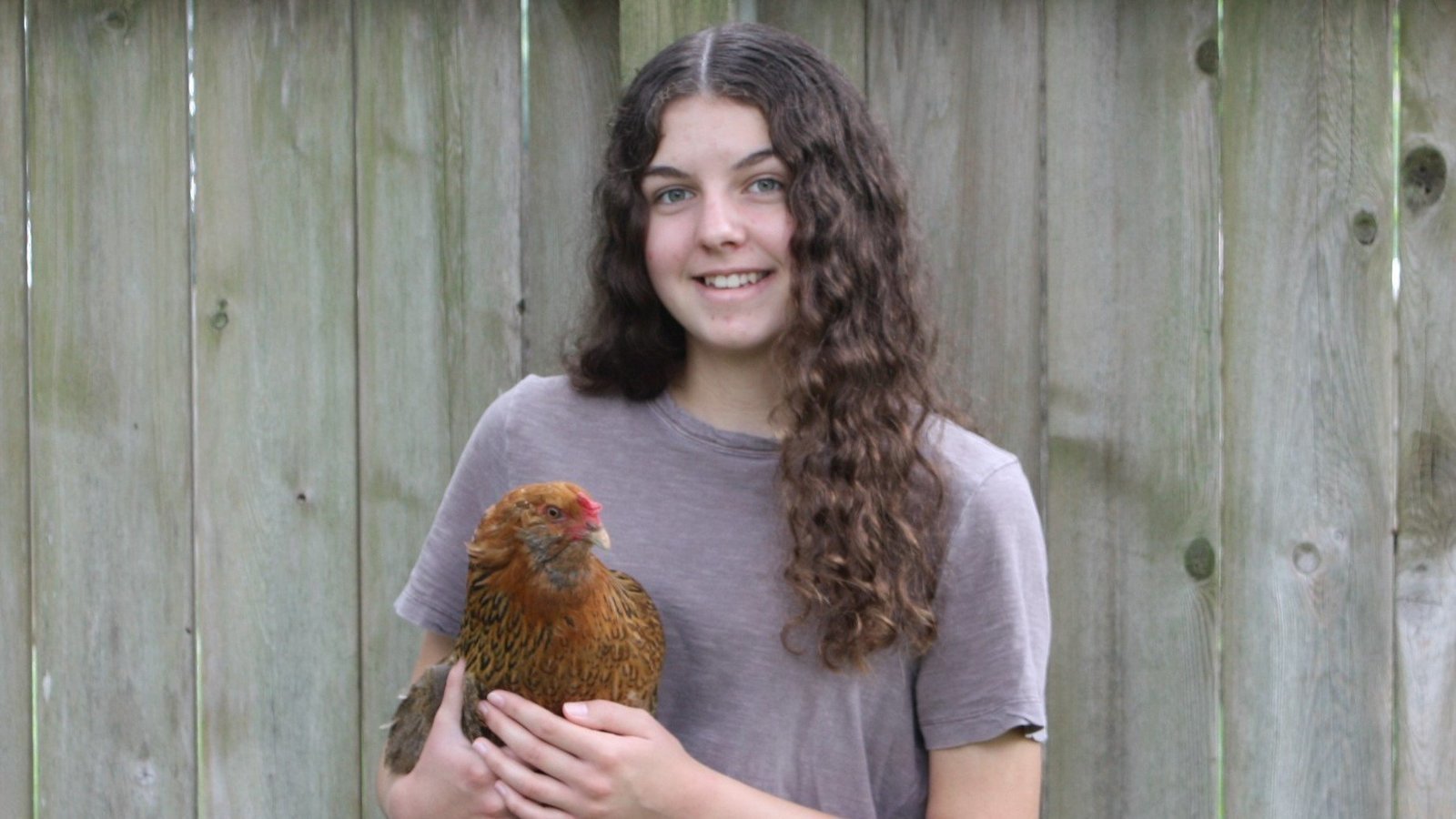 Petition · Help change the Harker Heights chicken ordinance. - United ...