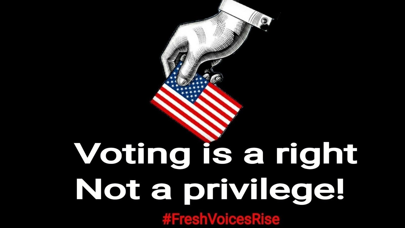 Petition · Veterans-Open Letter-US Senate in support of voting rights ...