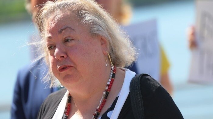 Petition · Call for the Resignation of State senator Liz Krueger for ...
