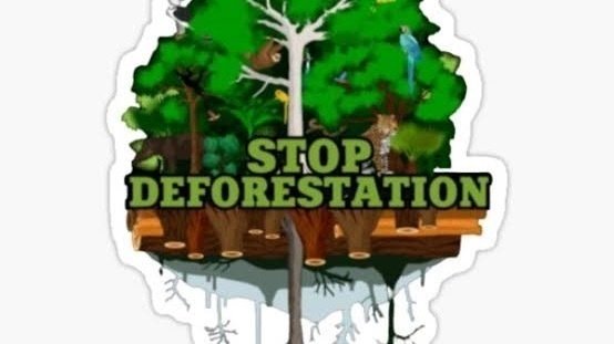 Petition · No to Deforestation - Philippines · Change.org