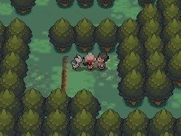 Petition · Bring Back Pokemon Following You! - Germany · Change.org