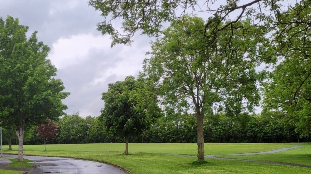 Petition · Protect Littlepace Green Space - Ireland · Change.org