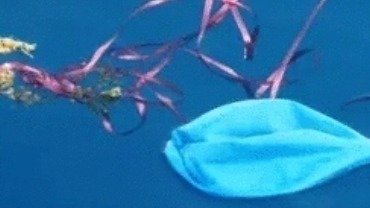 Petition · Ban Balloon Releases Internationally! - United Kingdom ...