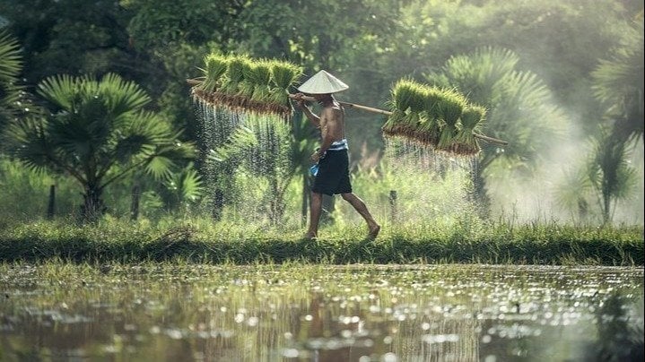 Petition · Revitalize Philippine Agriculture: Support Local Farmers and ...