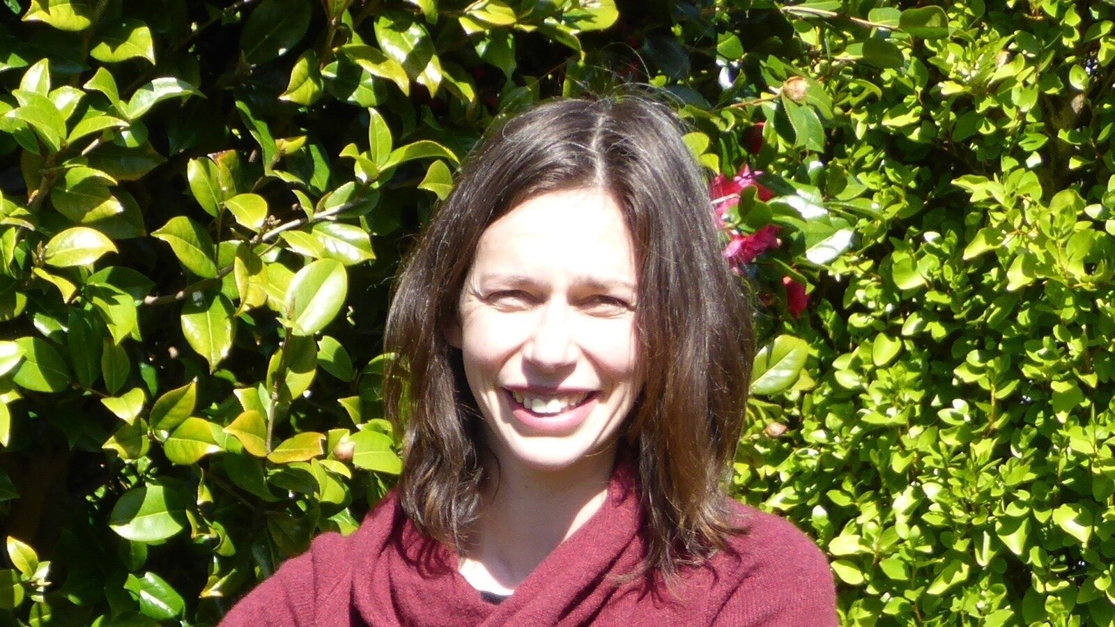 Petition · Remove Child Guardianship Rights from Killers - Ireland ...