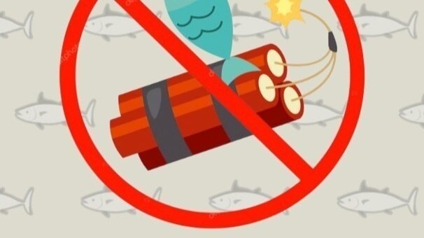 Petition · Stop Dynamite Fishing - Singapore, Singapore · Change.org