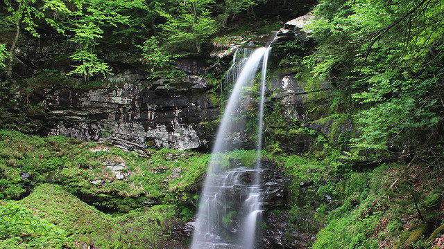 Petition · I support the moratorium and the revision of the Town ...