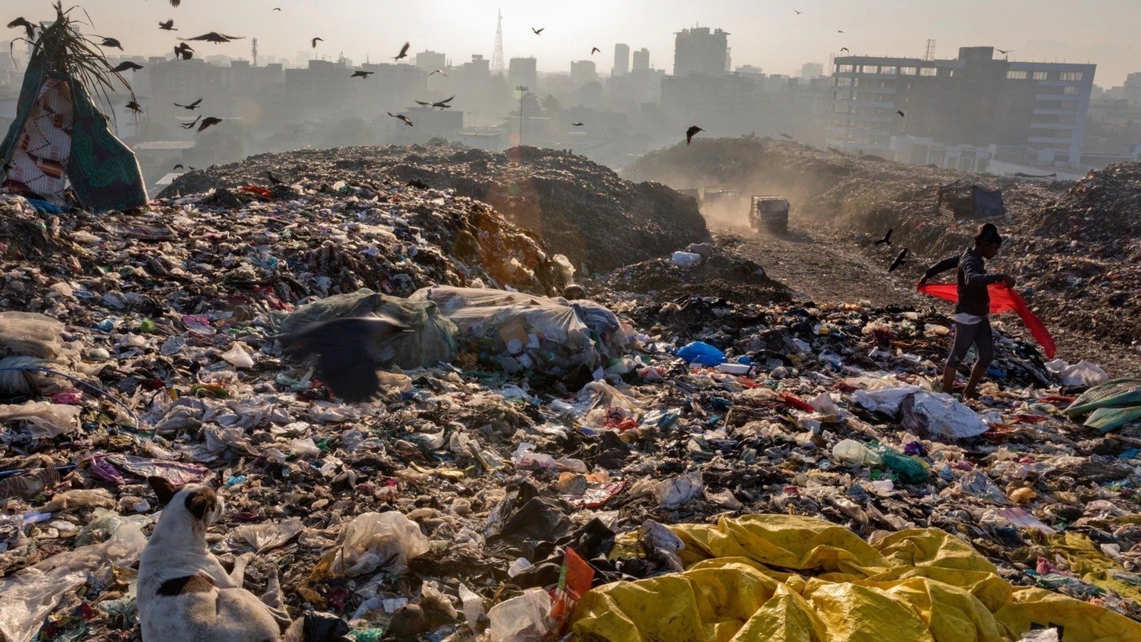 Petition · Stop leaving trash around to make our environment cleaner ...