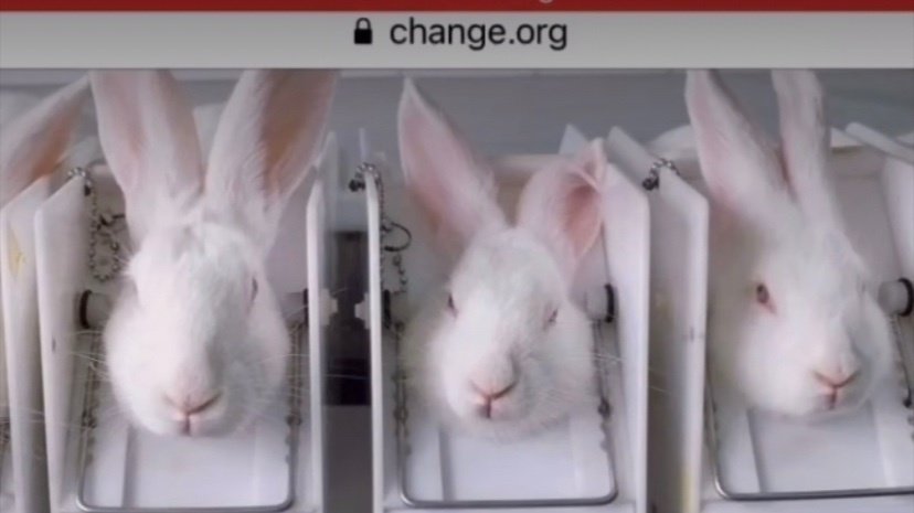Petition · I want to achieve to QUIT ALL animal testing for cosmetics ...