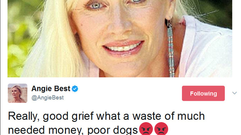 Petition update · Angie Best condemns government's funding of greyhound ...