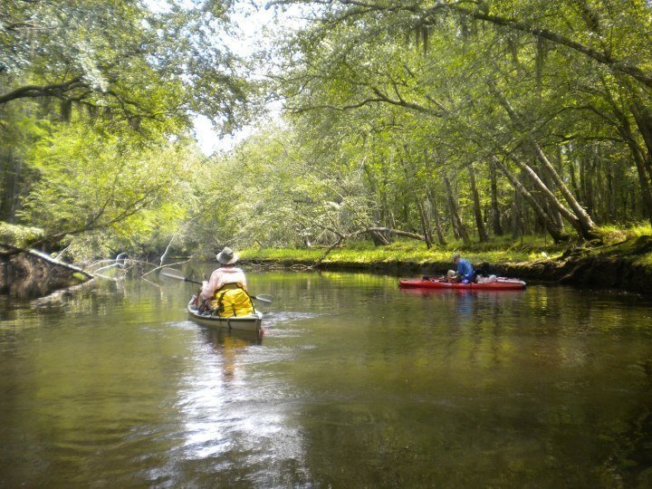 Petition · No New Wastewater Discharge on the Edisto River without a ...