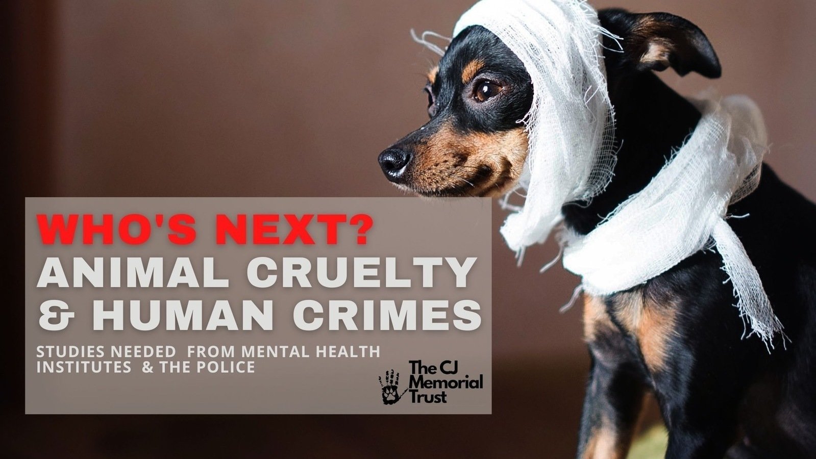 Petition · Studies needed on linkages of animal cruelty and human ...