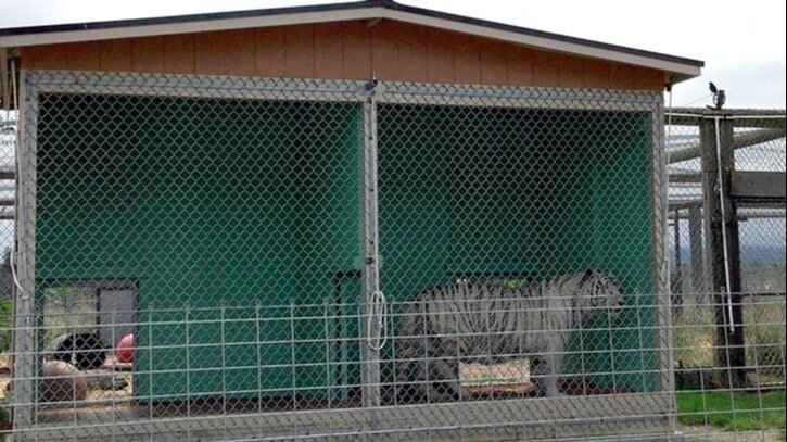Petition · Relocate the big cats and wolves from the olympic game farm ...