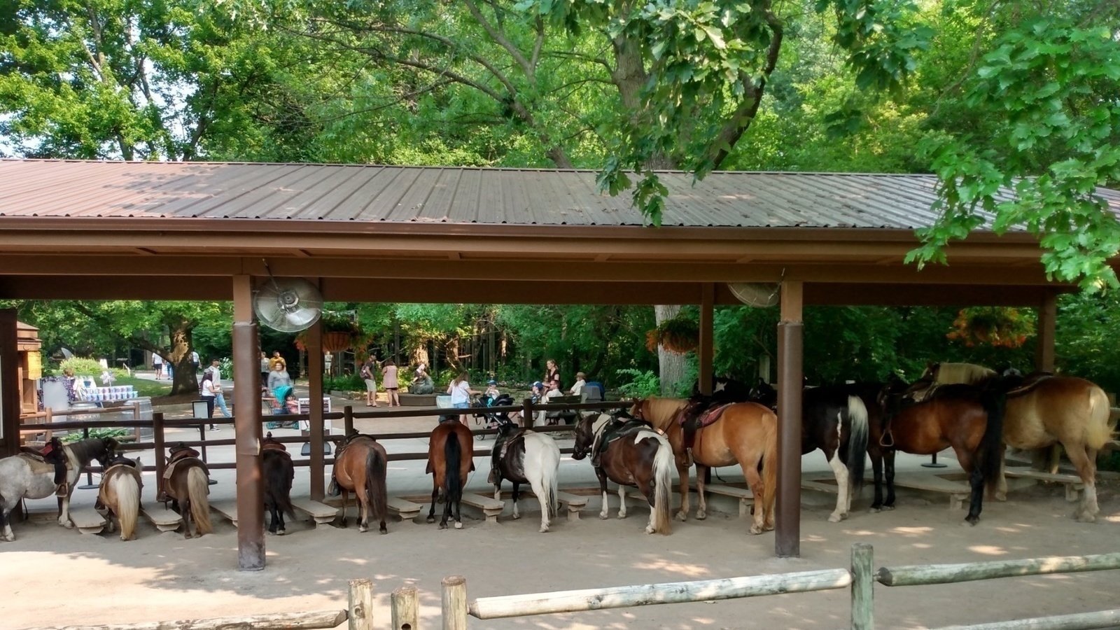 Petition · Keep the Pony rides at the Fort Wayne Zoo! - Fort Wayne ...