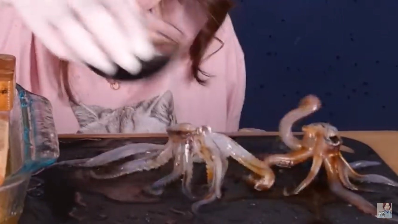 Petition · Ban Ssoyoung from YouTube - United States · Change.org