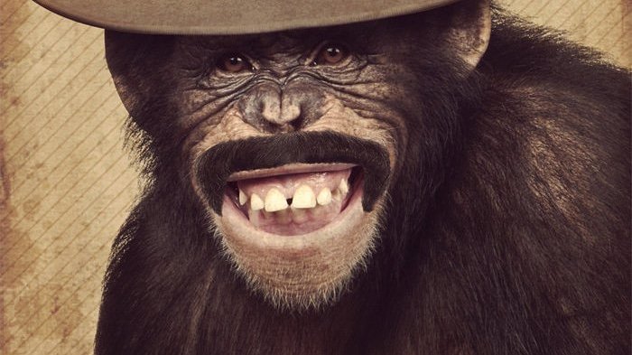 Petition · REANABLE MONKEY MAN'S DISCORD! - United States · Change.org