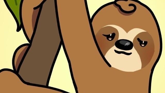 Petition · Keep Hassan in the Sloth Team as an Ambassador - United ...