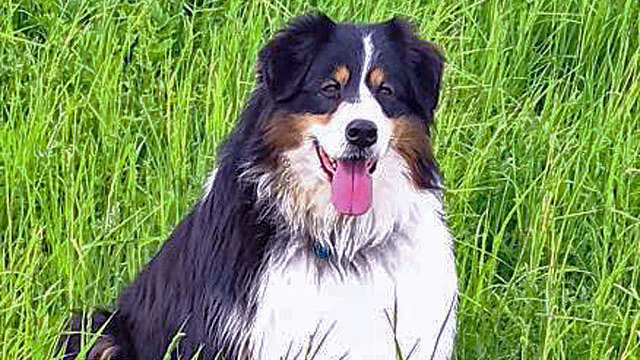 Petition · VTel President Michel Guite Must Be Held Responsible For ...