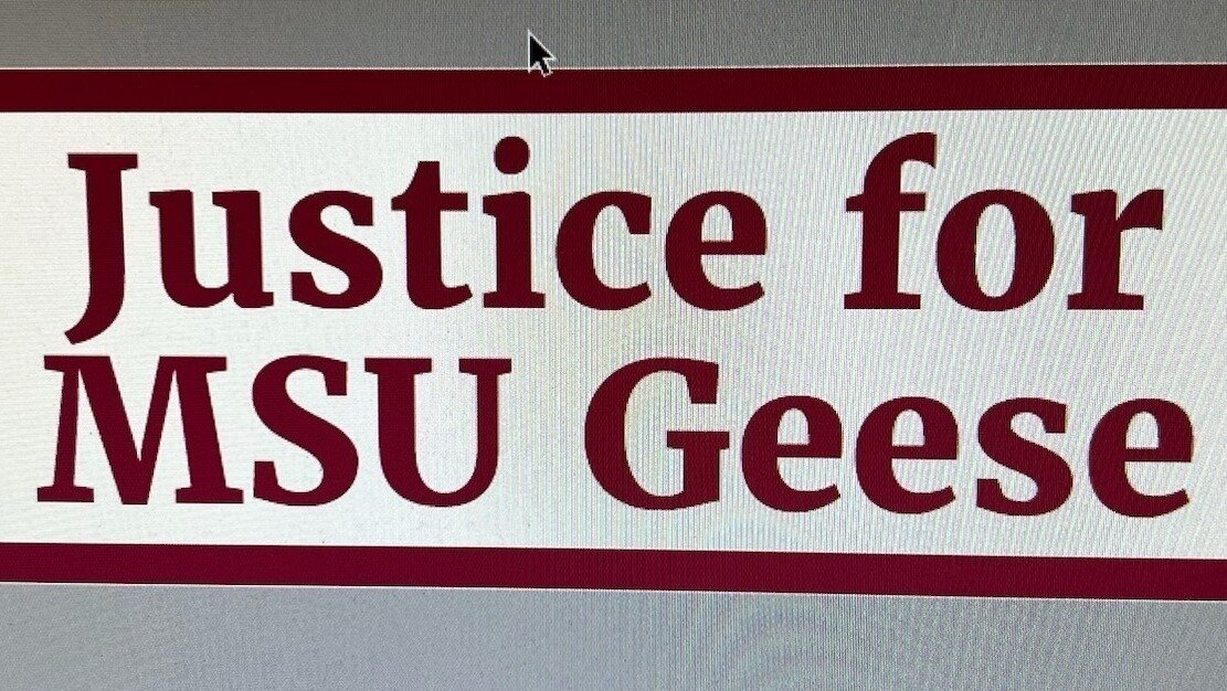 Petition · Stop Geese Roundup's by MSU ( Midwestern State University ...